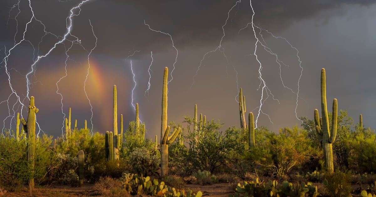 Bing Wallpaper - March 23, 2026 United Kingdom