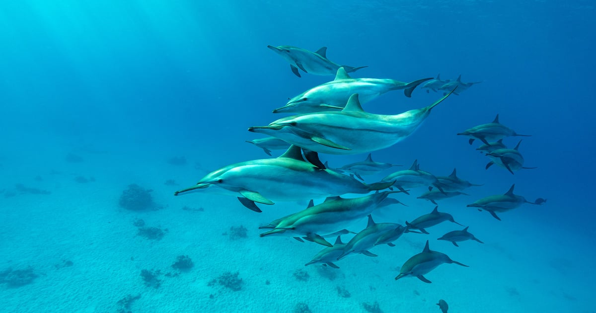 Bing Wallpaper - September 12, 2025 Worldwide