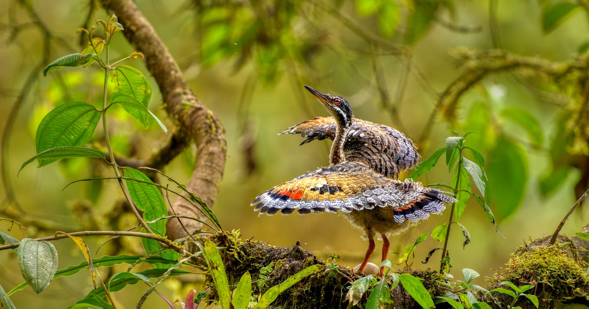 Bing Wallpaper - March 12, 2026 Canada