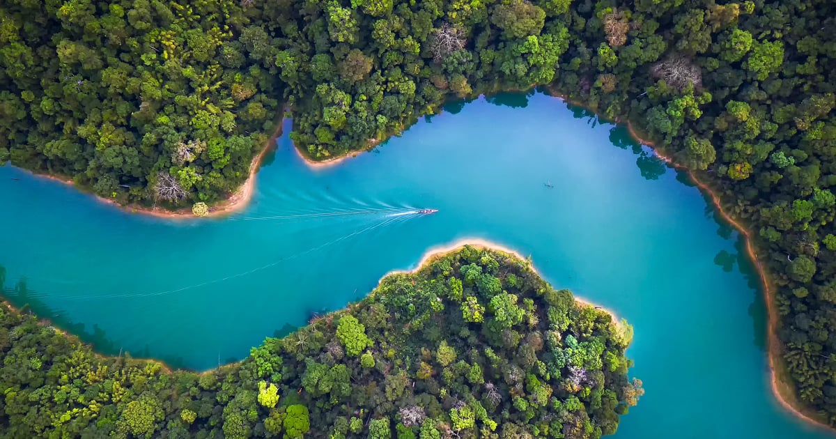 Bing Wallpaper - March 5, 2025 Worldwide