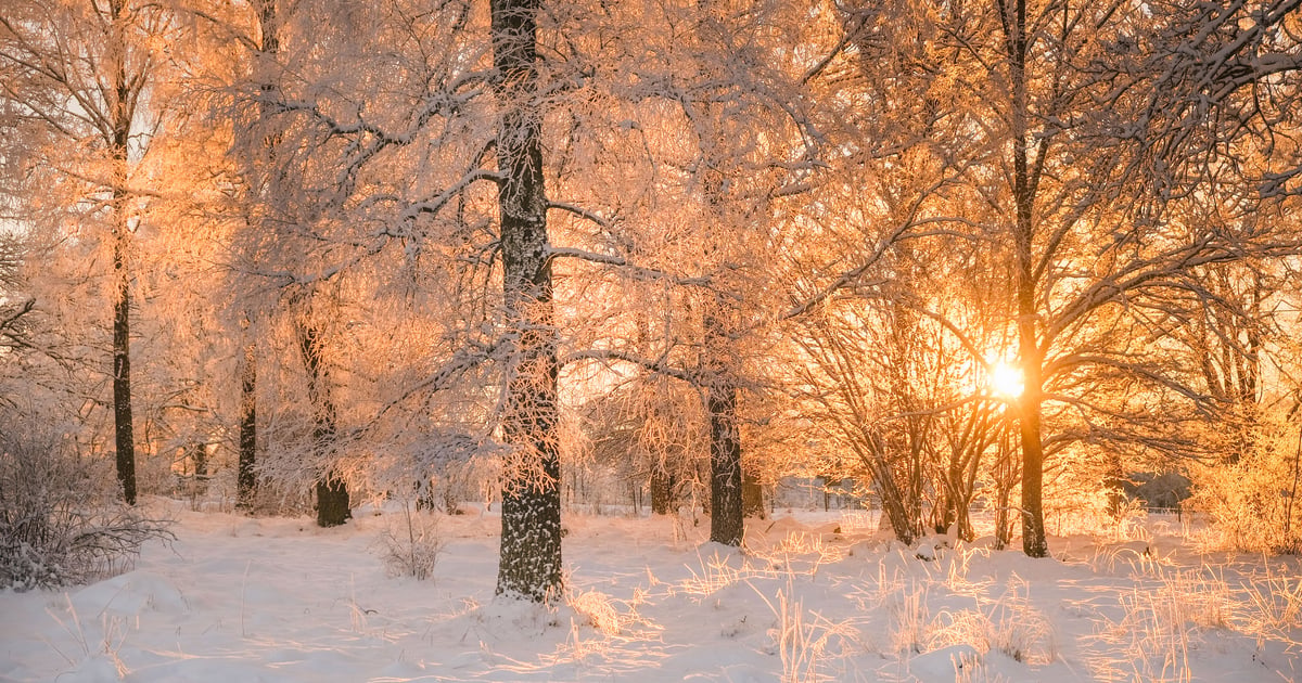 Bing Wallpaper - December 20, 2025 Italy