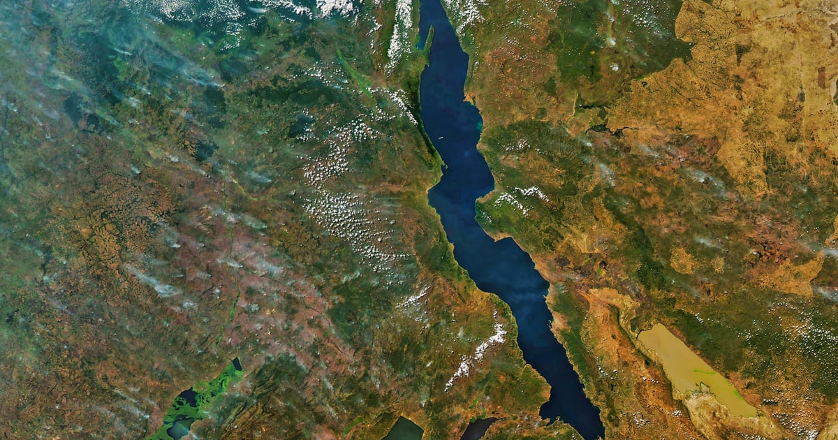 Bing Wallpaper - March 22, 2026 Worldwide