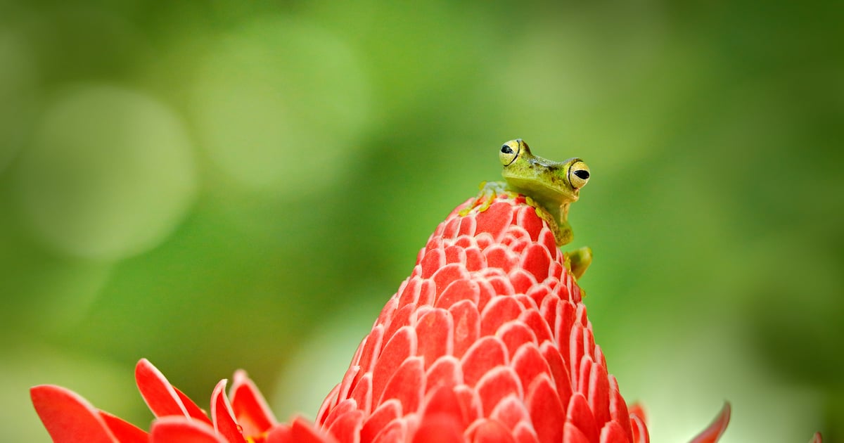 Bing Wallpaper - April 1, 2025 Worldwide