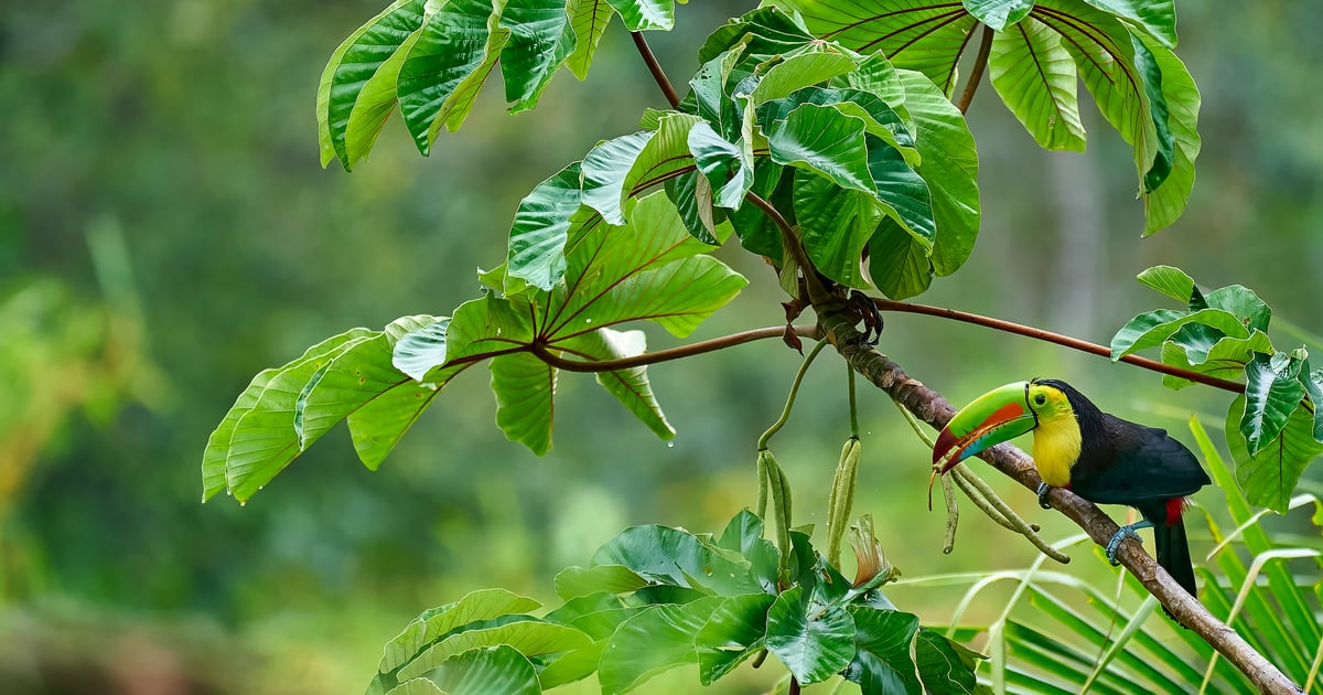 Bing Wallpaper - September 23, 2025 Worldwide