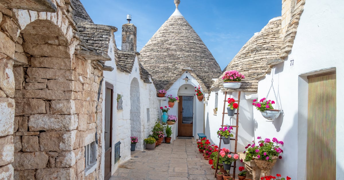 Bing Wallpaper - August 25, 2025 France