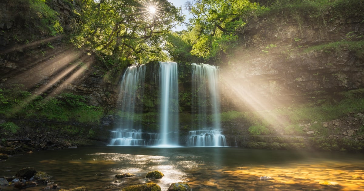 Bing Wallpaper - April 9, 2026 Worldwide