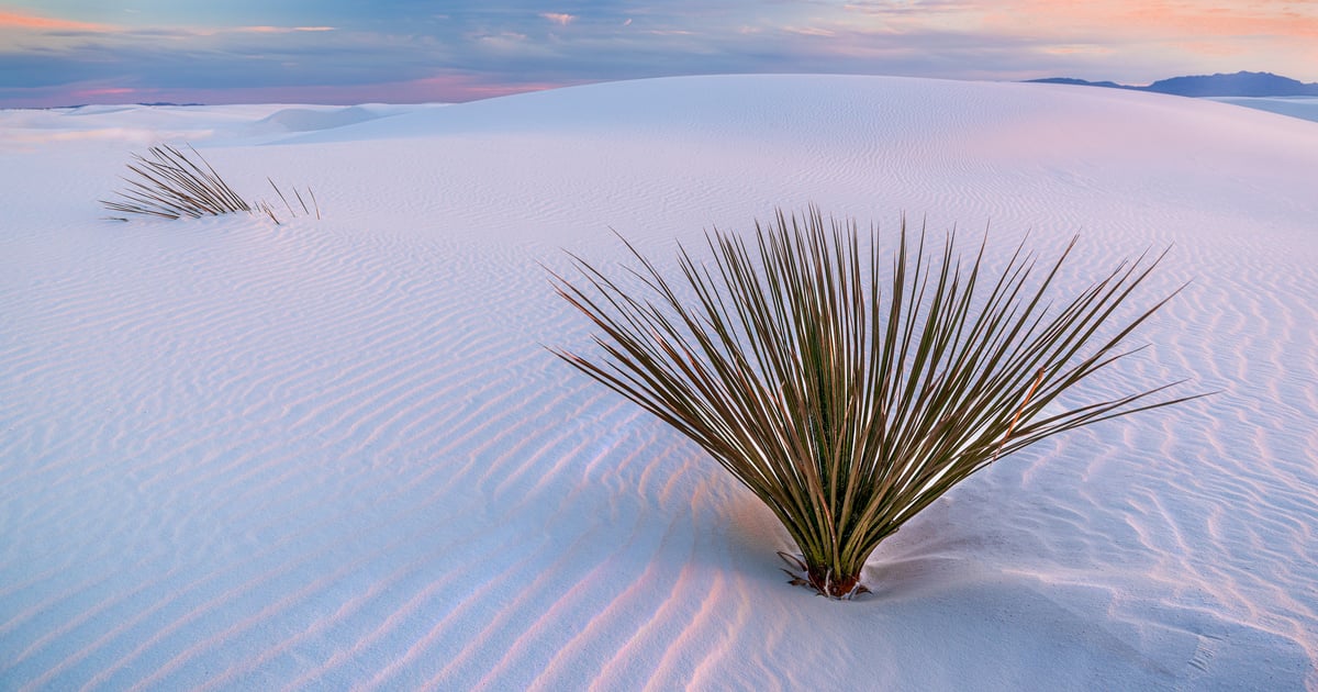 Bing Wallpaper - January 18, 2026 United States