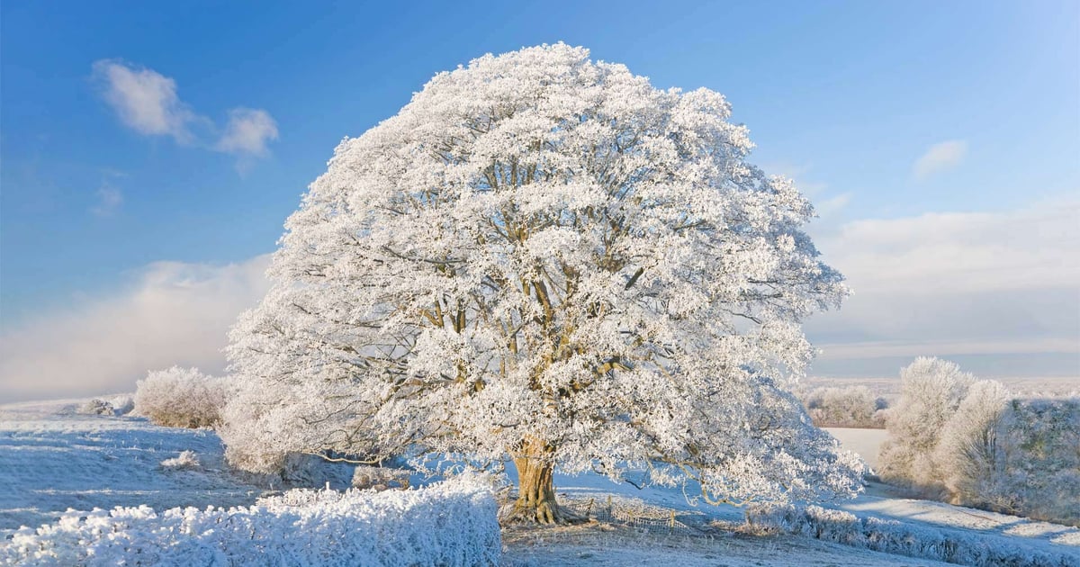 Bing Wallpapers for February 2022 - United States