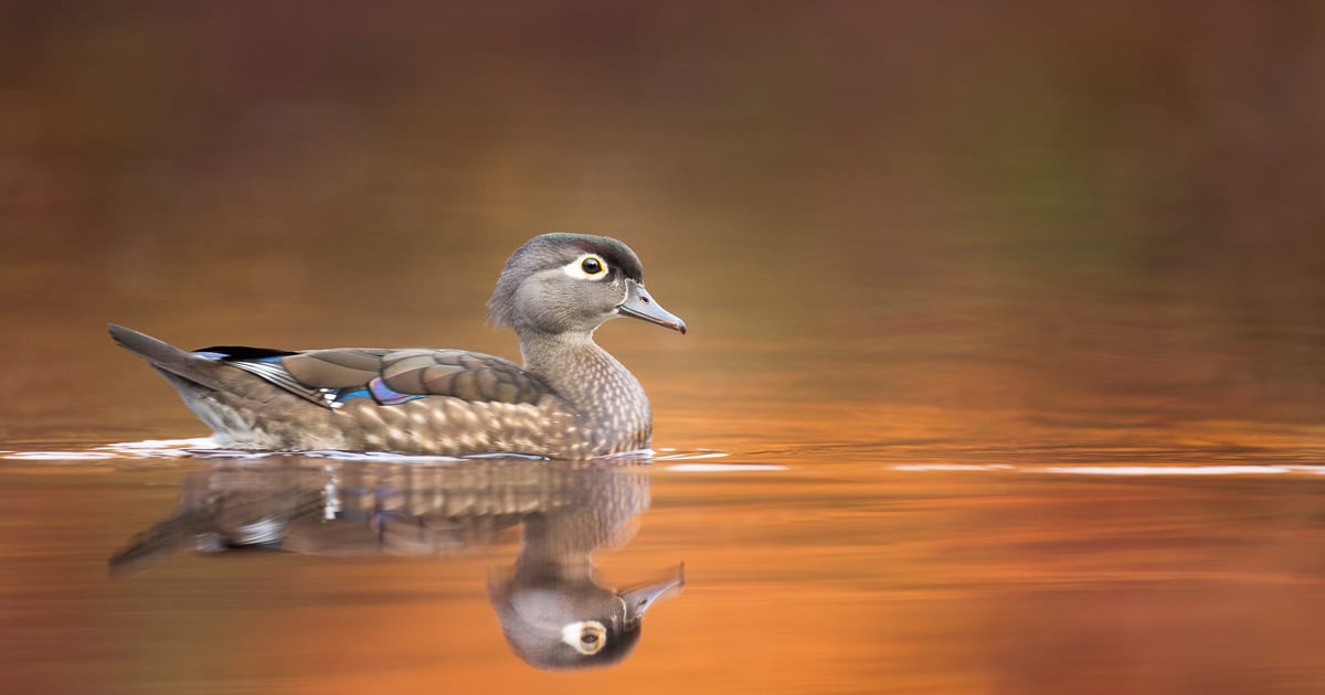Bing Wallpaper - October 10, 2025 United Kingdom