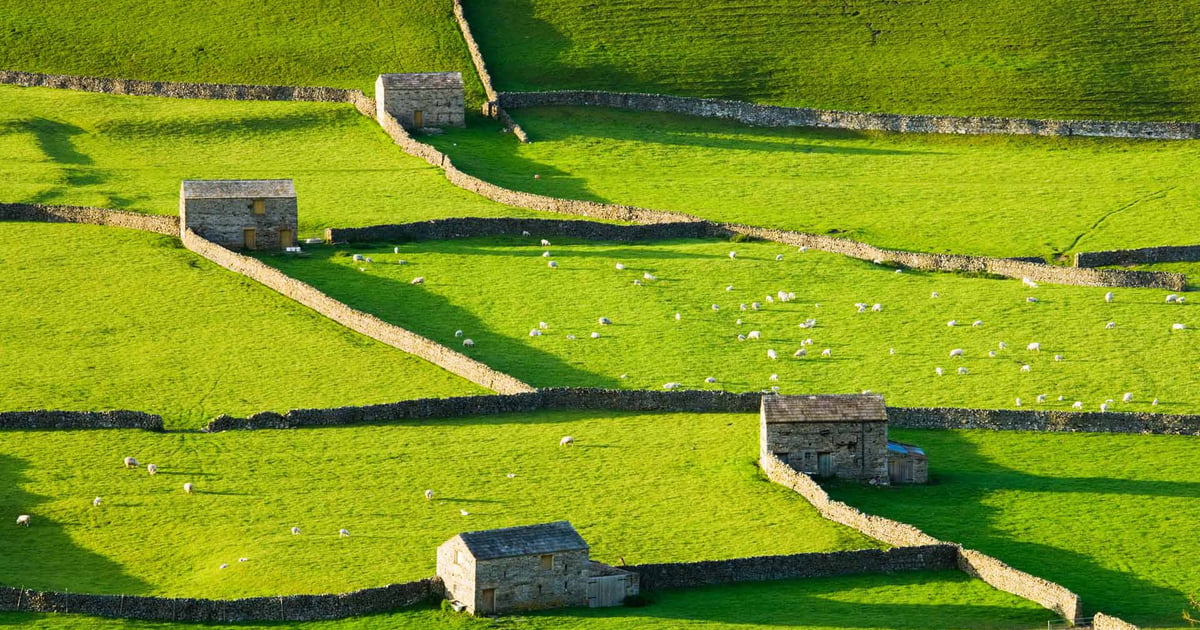 Bing Wallpapers for May 2024 - United States