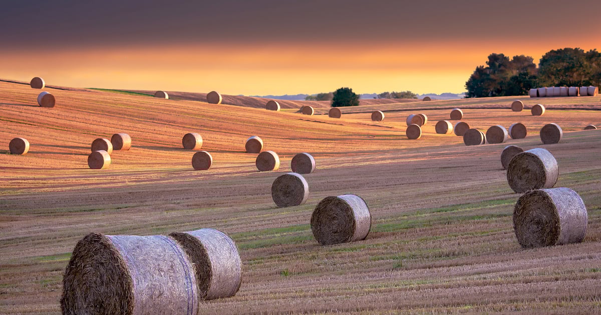 Bing Wallpaper - September 10, 2025 Worldwide