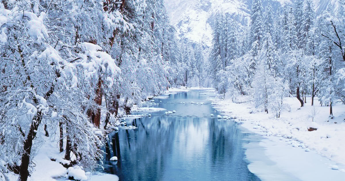 Bing Wallpaper - December 13, 2025 Worldwide