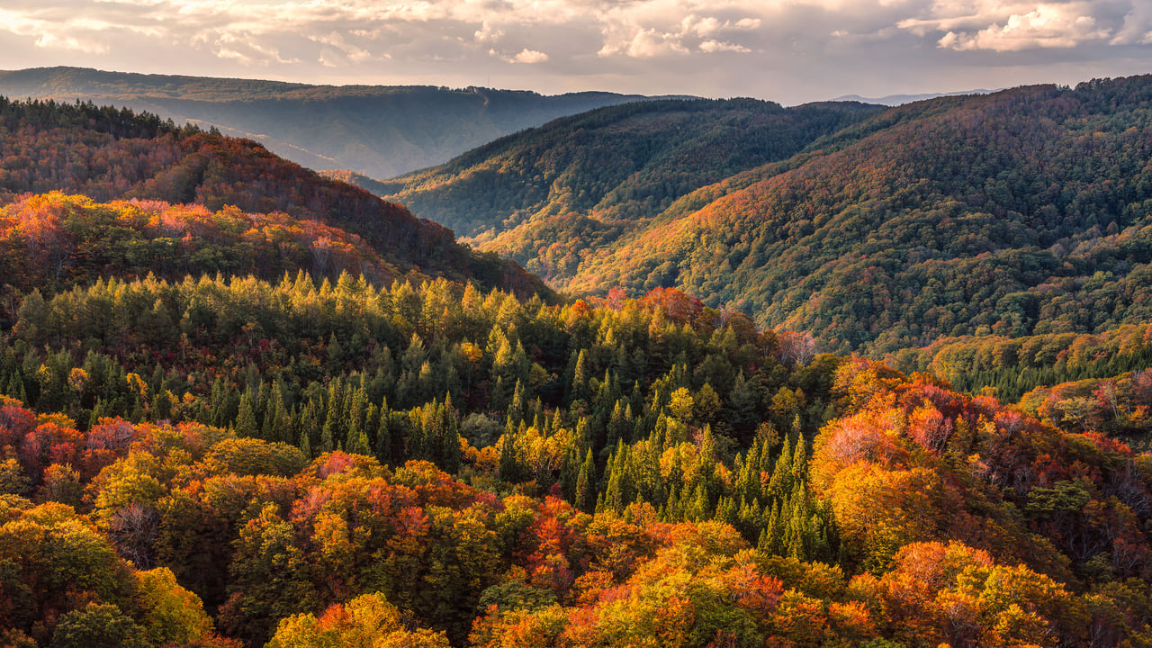 Bing Wallpaper - October 22, 2025 Japan