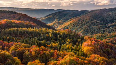 Bing Wallpaper - October 11, 2025 Japan