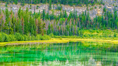 Bing Wallpaper - May 17, 2026 United States