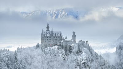 Bing Wallpaper - February 20, 2026 India